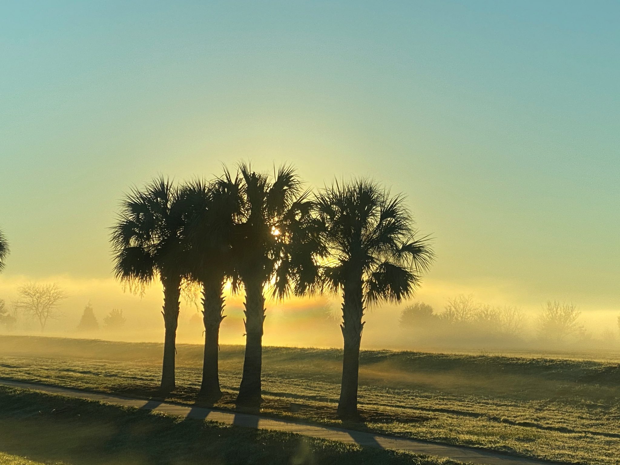 Sarasota Audubon | SRQ Florida Chapter of the National Audubon Society